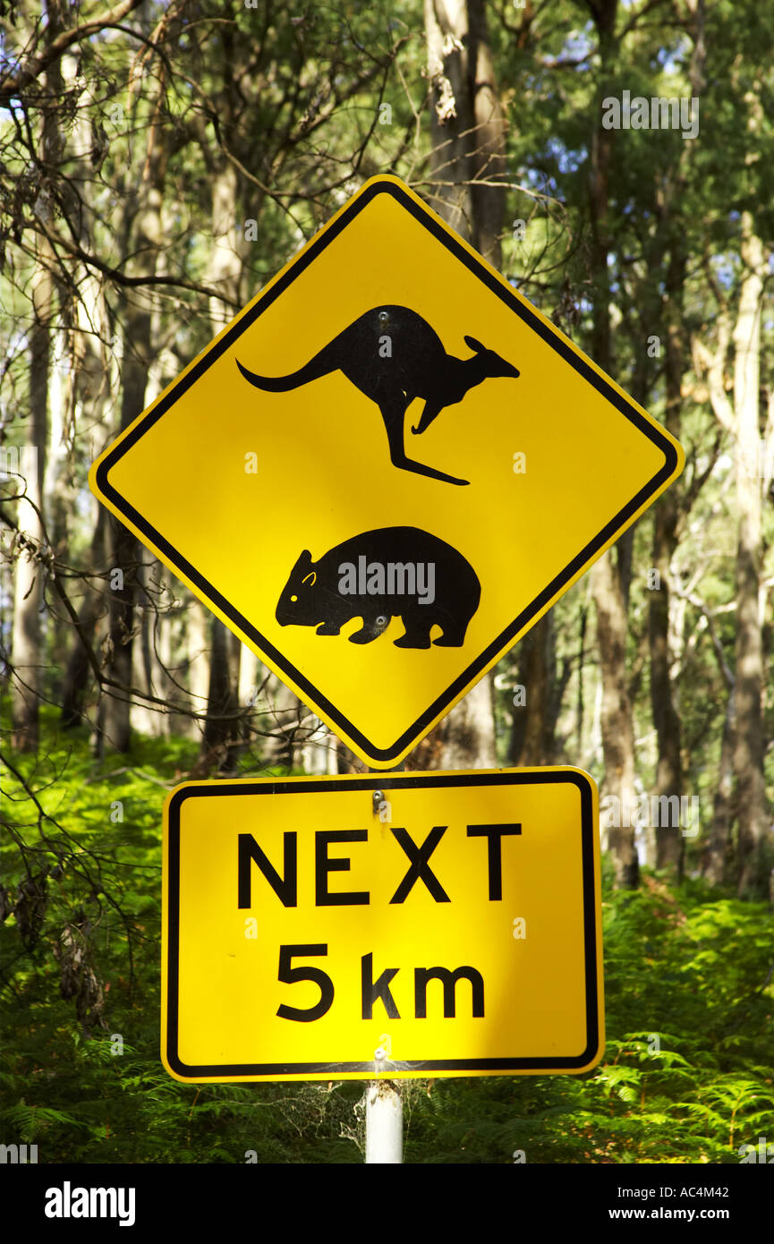 Kangaroo and Wombat Warning Sign Mount Buffalo National Park Victoria ...