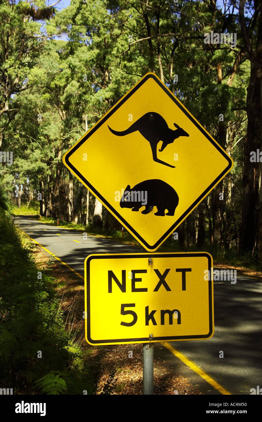 Kangaroo and Wombat Warning Sign Mount Buffalo National Park Victoria ...