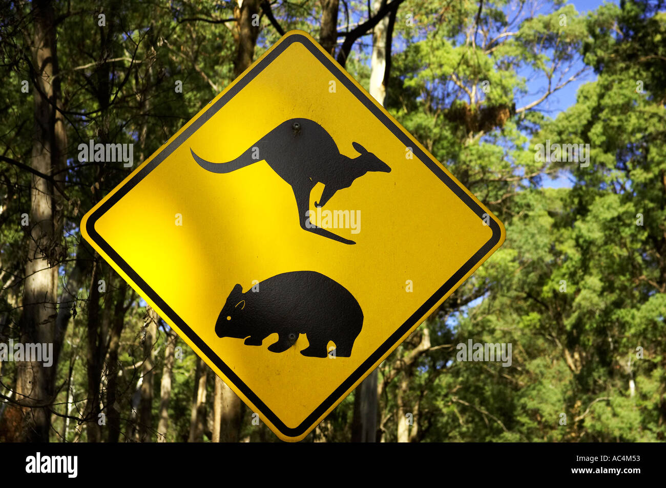 Kangaroo and Wombat Warning Sign Mount Buffalo National Park Victoria ...
