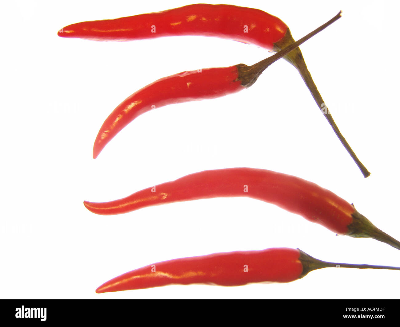 Cilli hi-res stock photography and images - Alamy