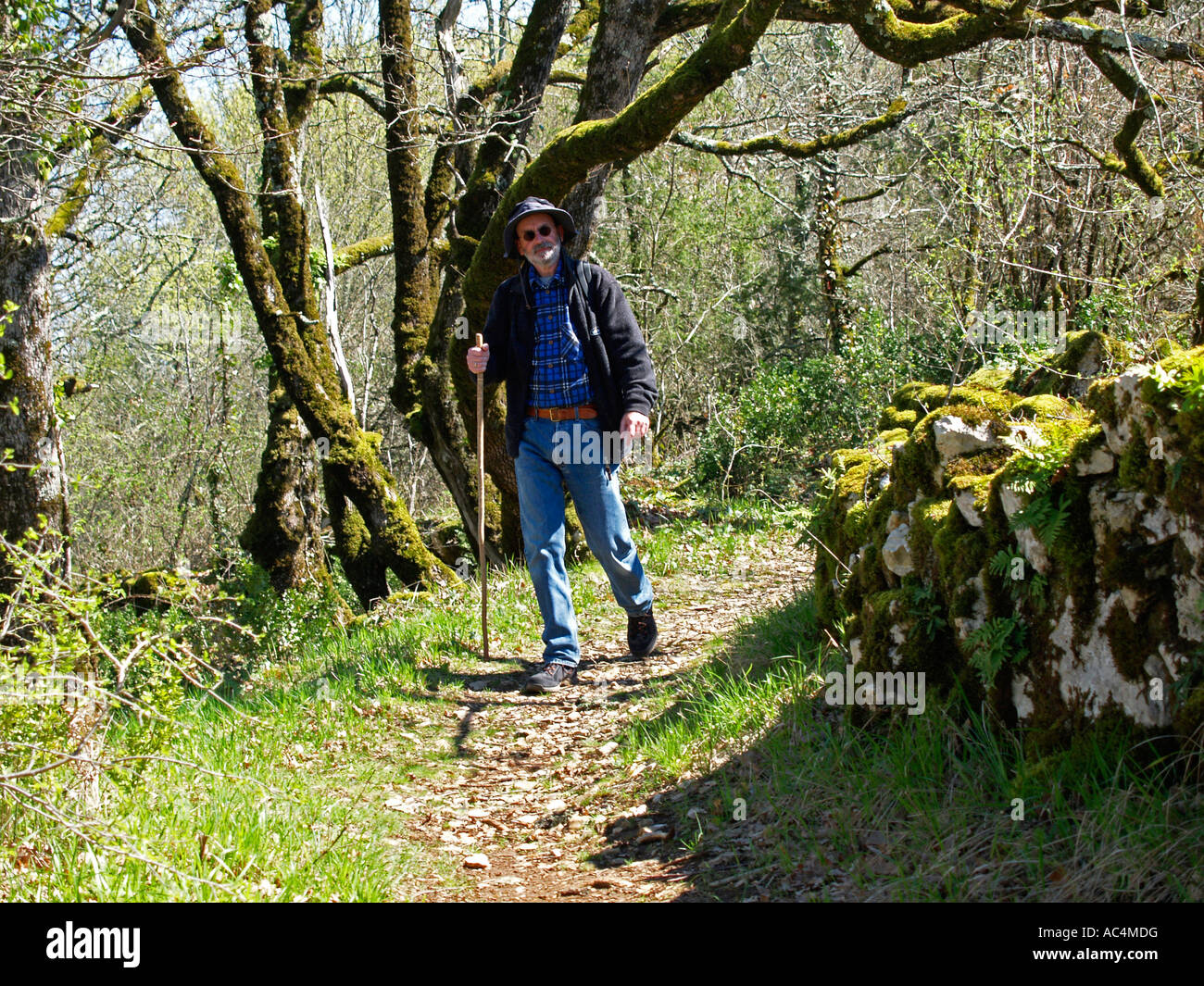 MR middle aged man making tracking hiking in the nature Stock Photo - Alamy