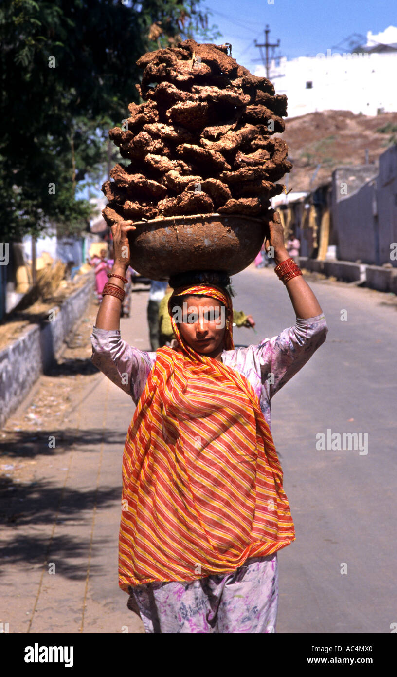 Woman Old Delhi India cow shit excrement muck shitfuel firing Stock ...