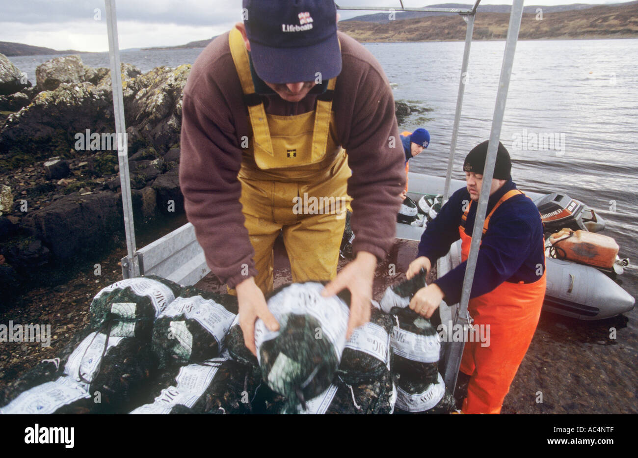 Live fish transport hi-res stock photography and images - Alamy