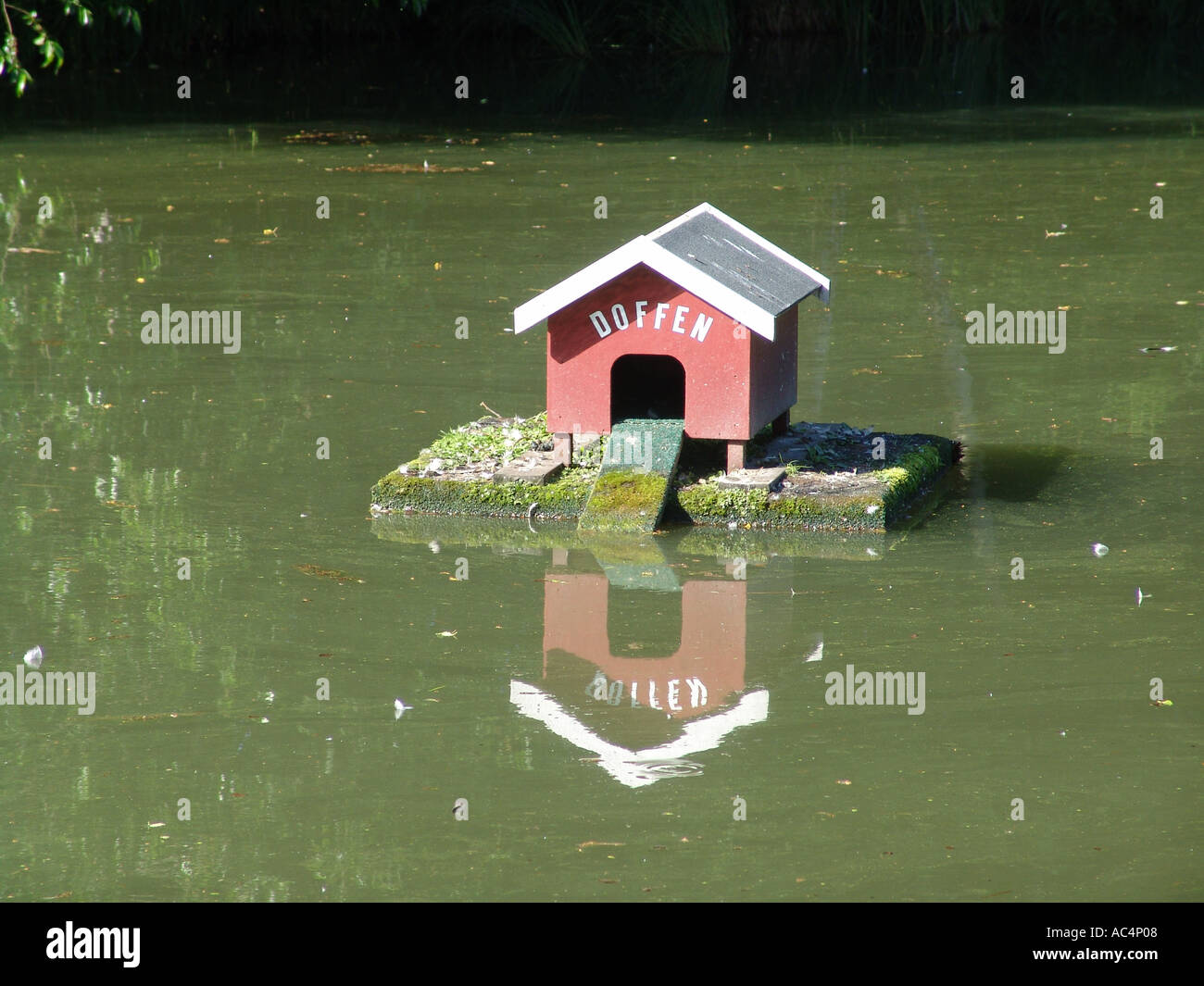 Floating duck house hi-res stock photography and images - Alamy
