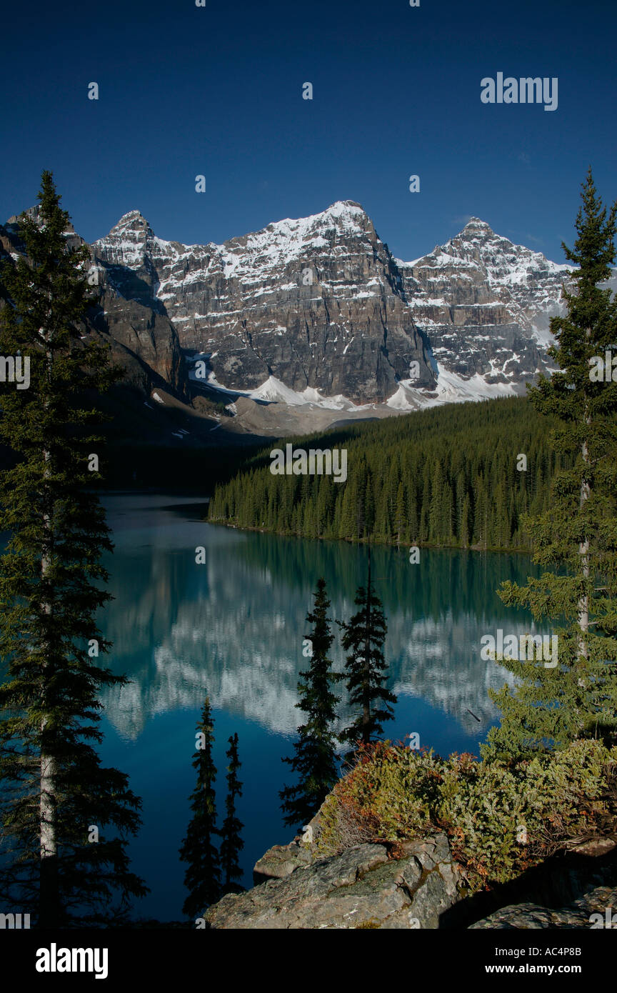 Moraine Lake with conifer trees in foreground and Wenkchemna Peaks in ...
