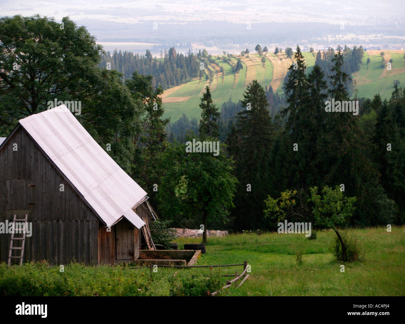 The podhale shepherd hi-res stock photography and images - Alamy