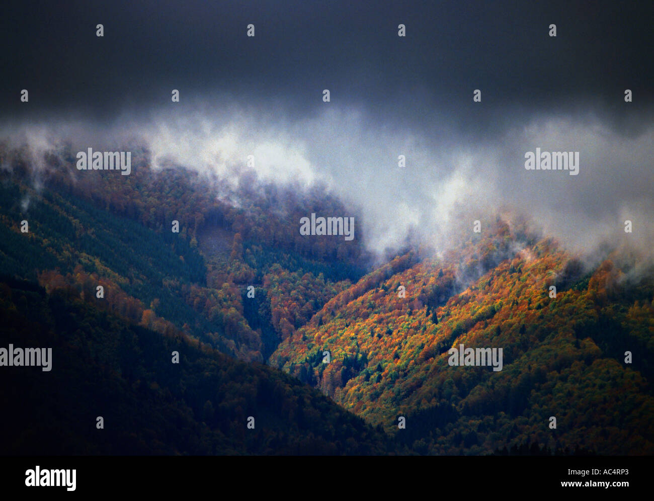Mala Fatra Mt in Tatra Mt Slovakia Stock Photo - Alamy