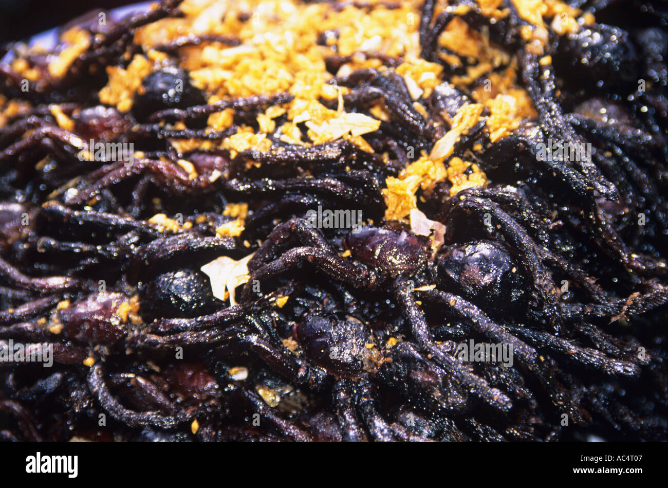 Delicacy of dry roasted tarantulas Skone Cambodia Stock Photo: 4257798 ...