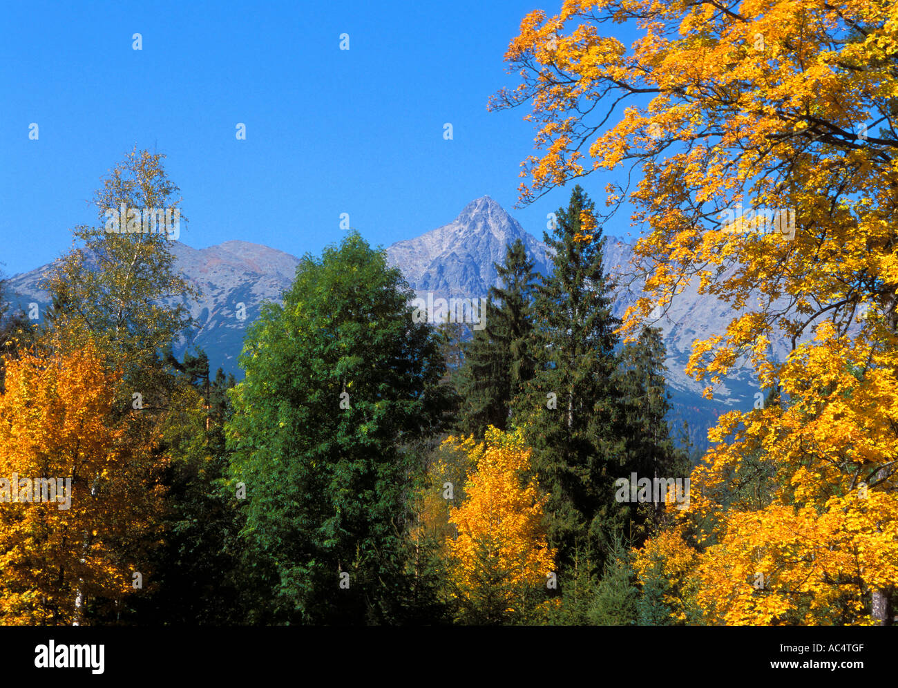 Tatra Mt from Lomnica Slovakia Stock Photo - Alamy