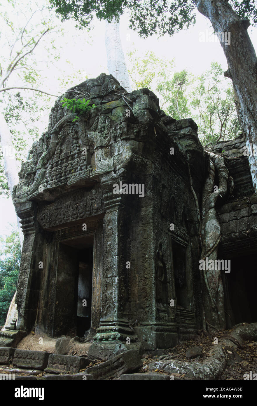 Ta Prohm temple at Angkor Wat, Siam Reap, Cambodia Stock Photo - Alamy