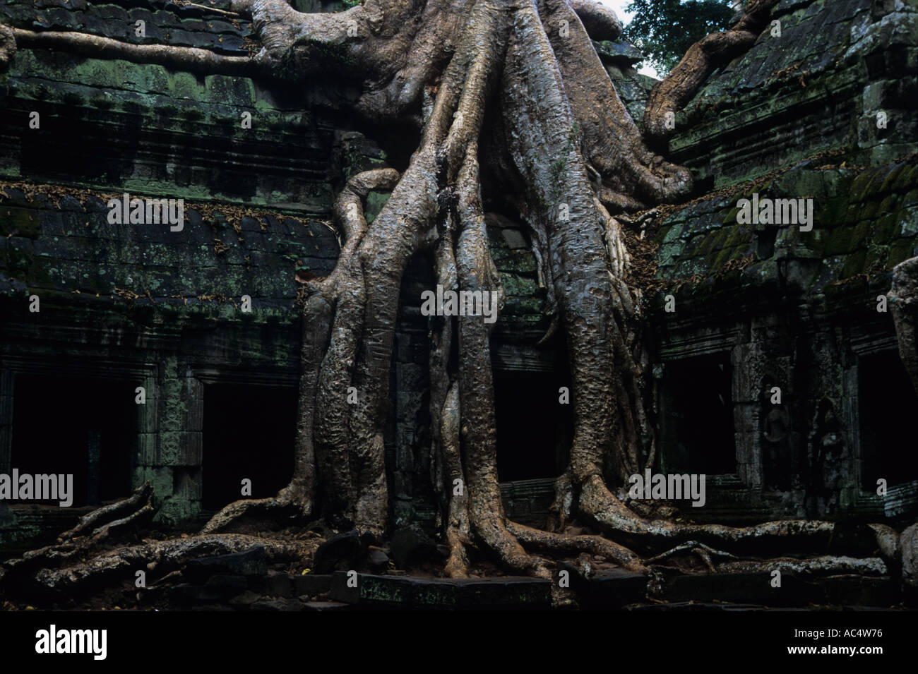 Daytime tourism at ta prohm temple hi-res stock photography and images ...
