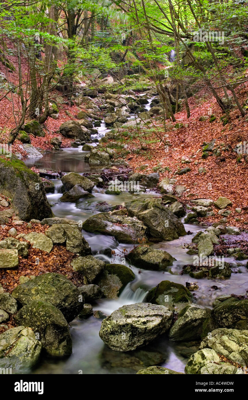 brook and rocks Stock Photo - Alamy