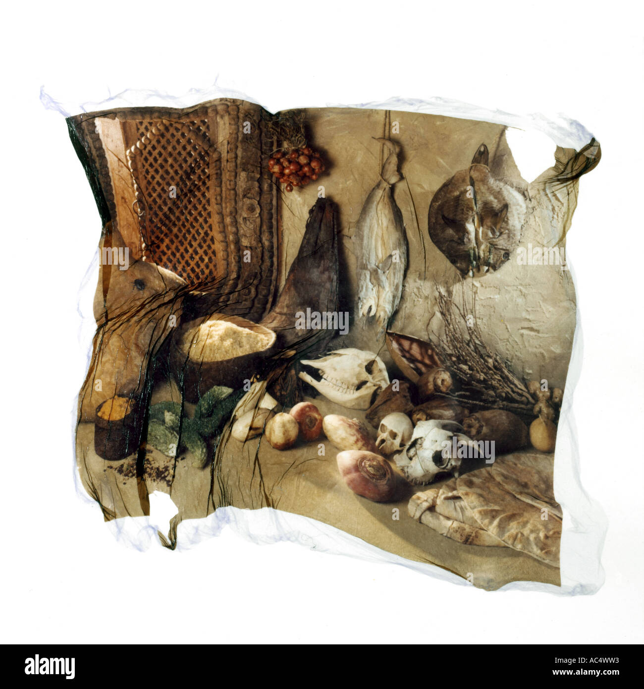 Still life sketches hi-res stock photography and images - Alamy