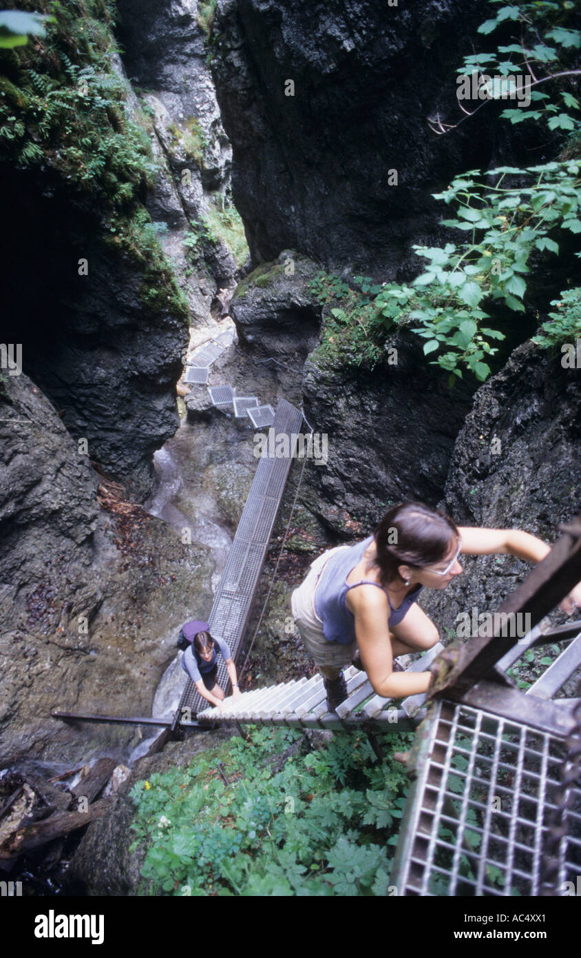 people climbing on ladder in Sucha Bela canyon Slovensky Raj Slovak ...