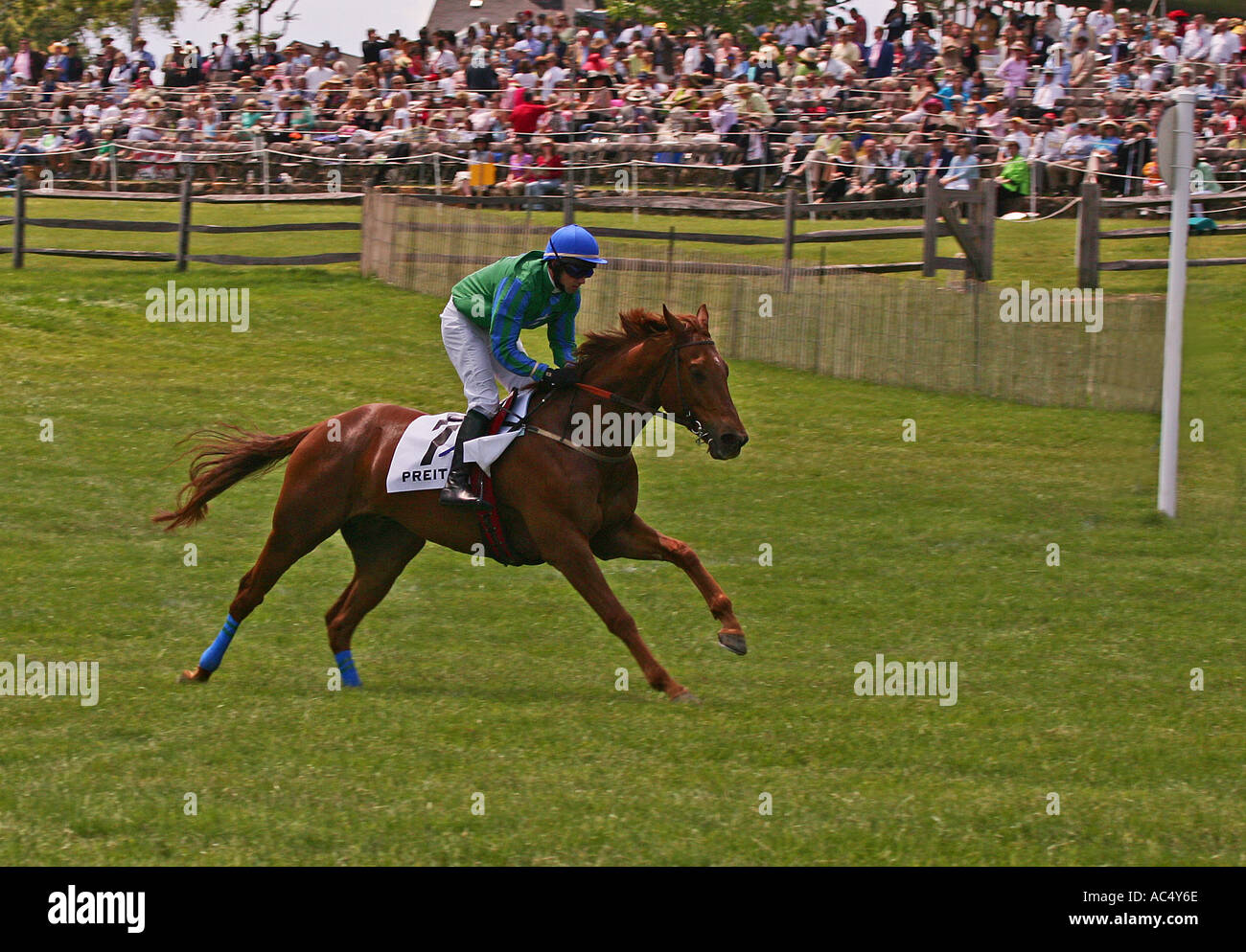 Radnor hunt hi-res stock photography and images - Alamy