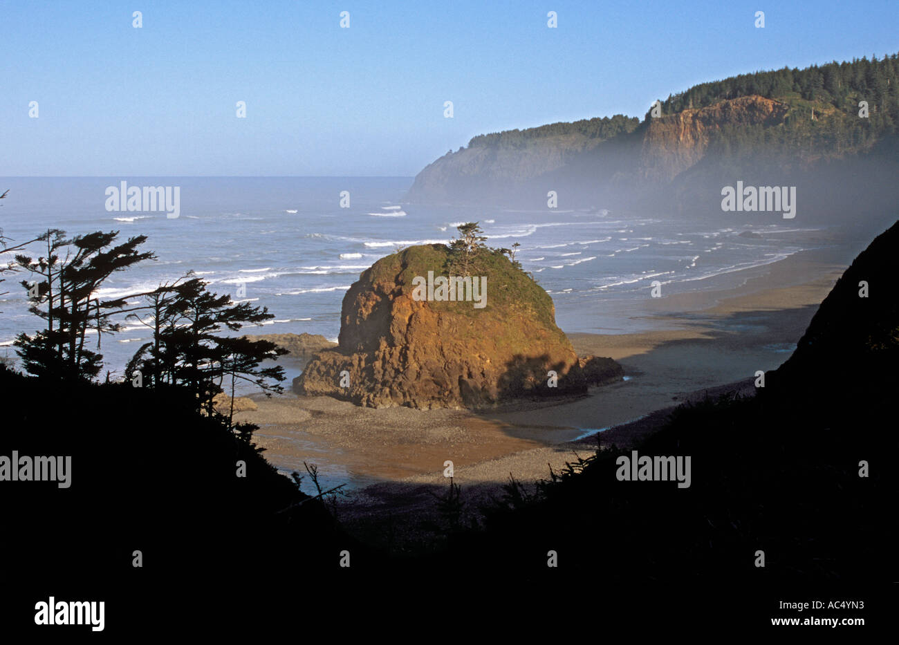 Golden light illuminates a sea stack rising through mist. Short Beach ...