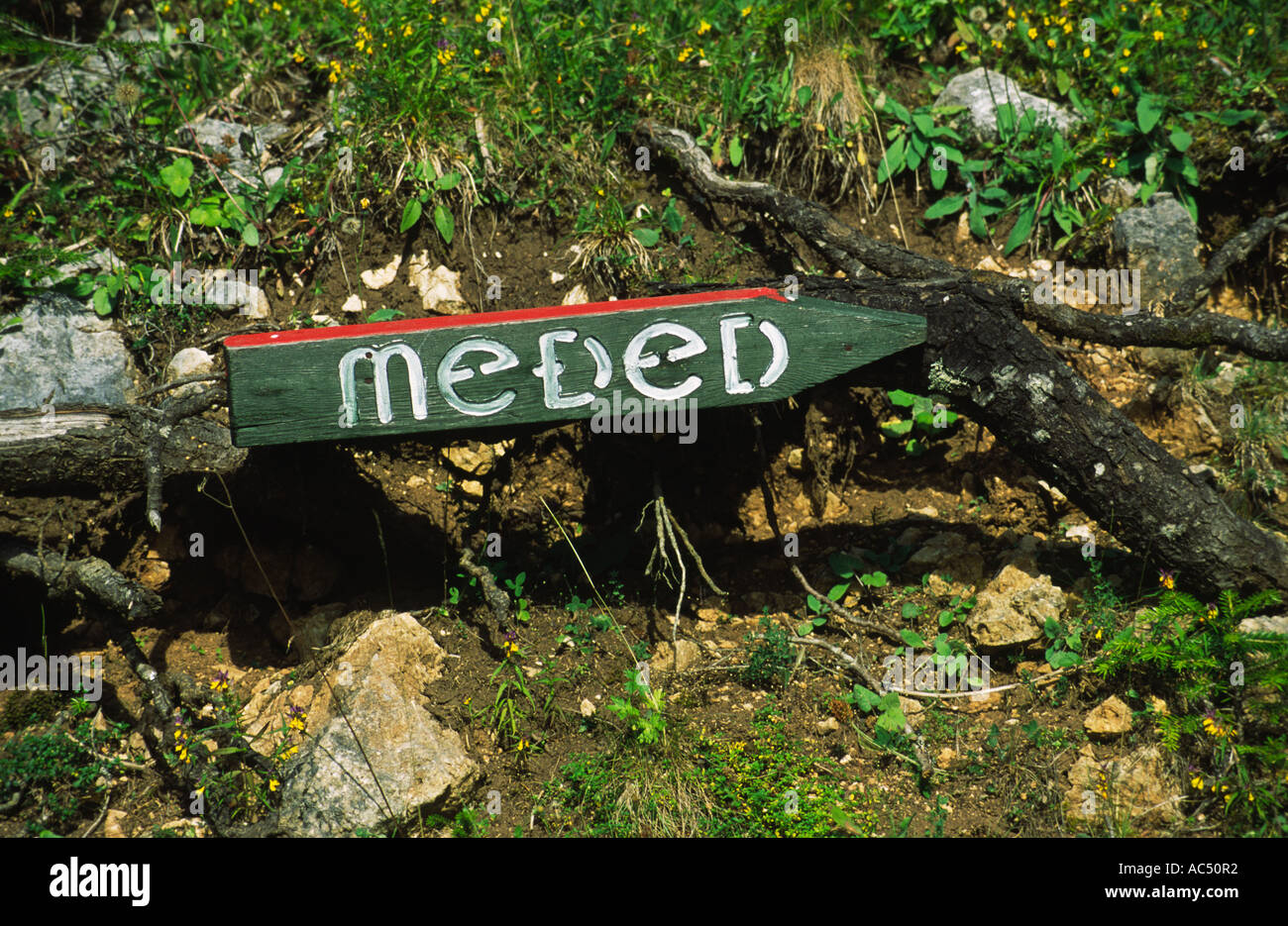Durmitor national park, Montenegro Stock Photo - Alamy