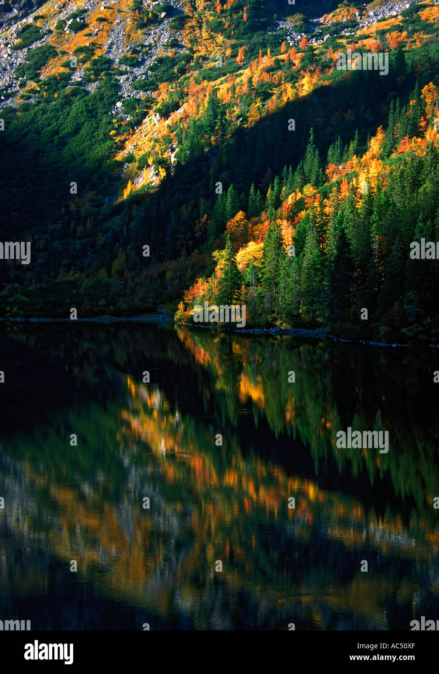 Fall reflection in lake Stock Photo - Alamy