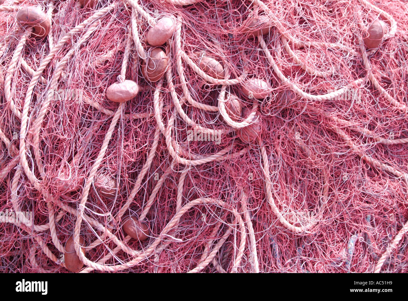 Pink fish hi-res stock photography and images - Alamy