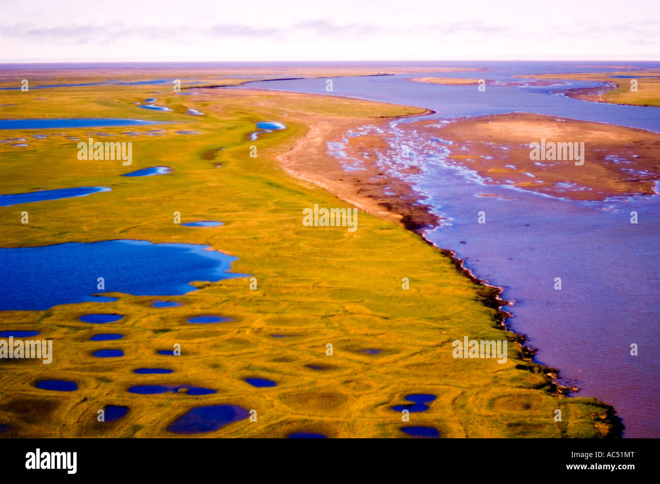 Tundra lakes in NPRA and the Colville River Stock Photo - Alamy