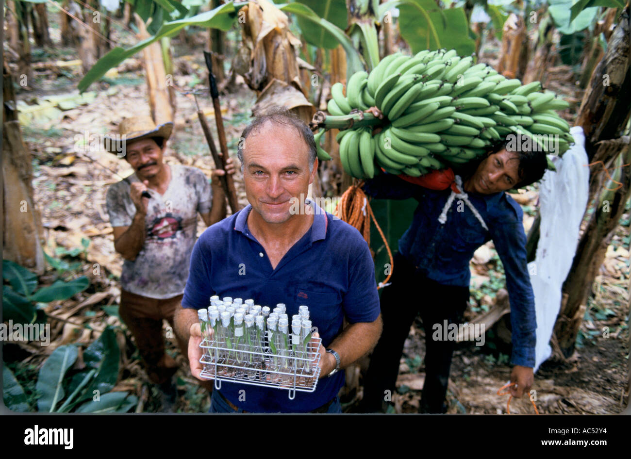 Honduras Bananas High Resolution Stock Photography and Images - Alamy
