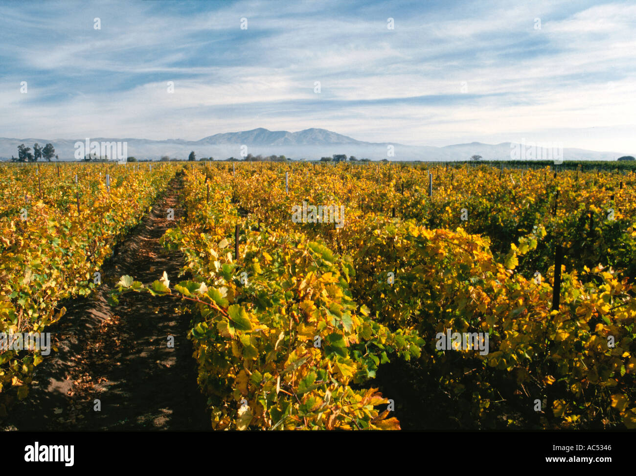 Monterey County Winery High Resolution Stock Photography and Images - Alamy