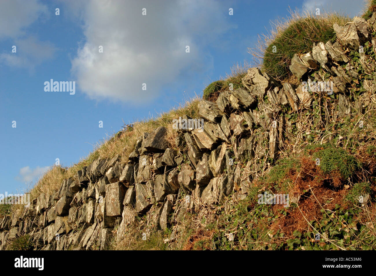 Cornish hedge wall, coastal path, West Cornwall UK Stock Photo - Alamy
