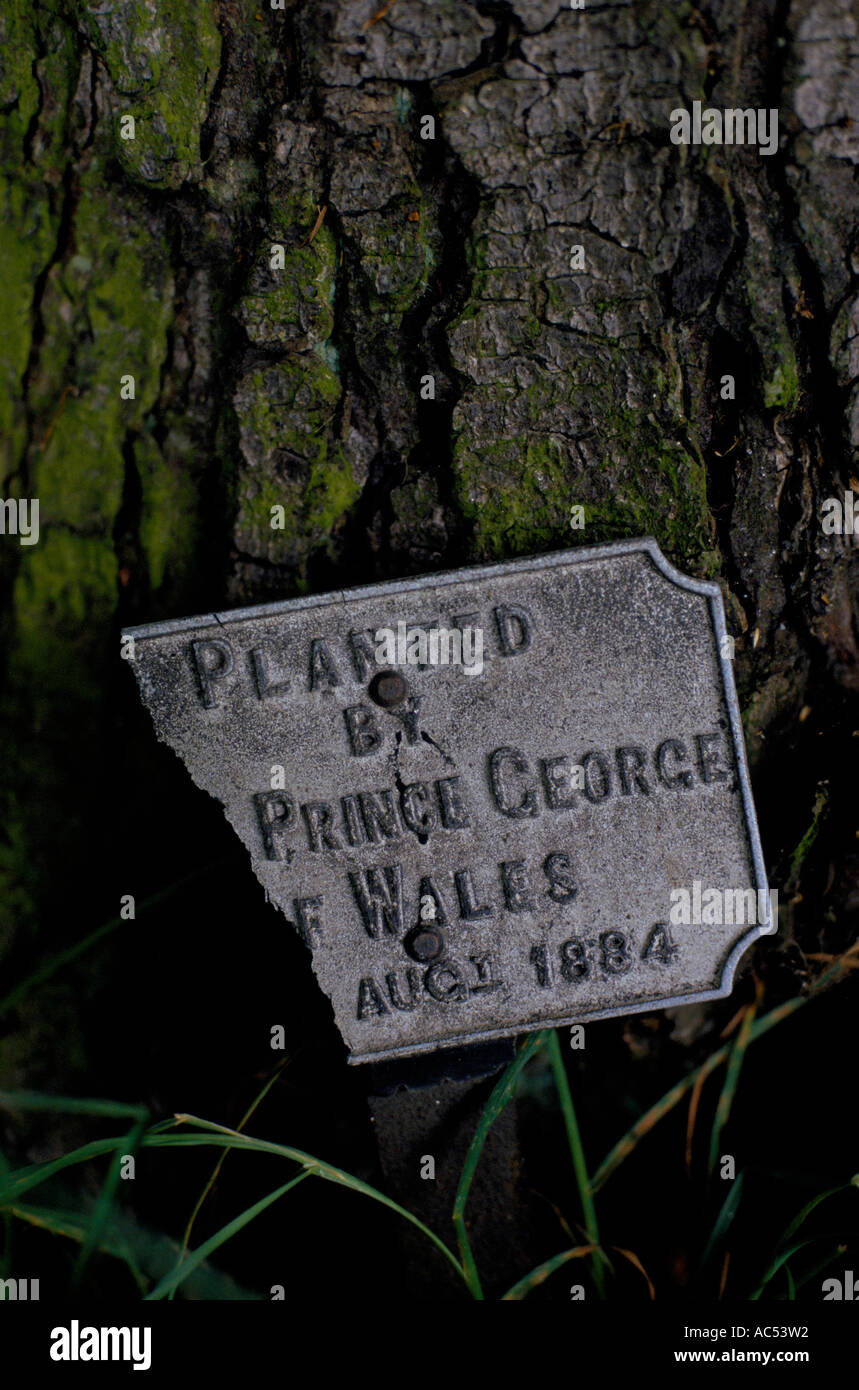 Dedication plaques hi-res stock photography and images - Alamy