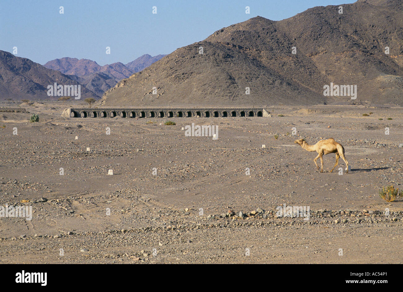 Hejaz wwi hi-res stock photography and images - Alamy