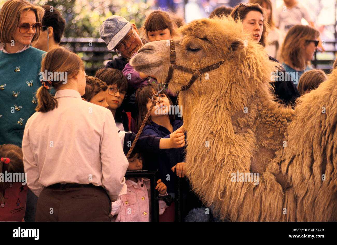 London Zoo Children High Resolution Stock Photography and Images - Alamy
