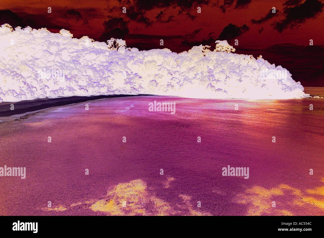 Backdrop lagoon Scenery Scenery sea sky trees tropical outside coast ...