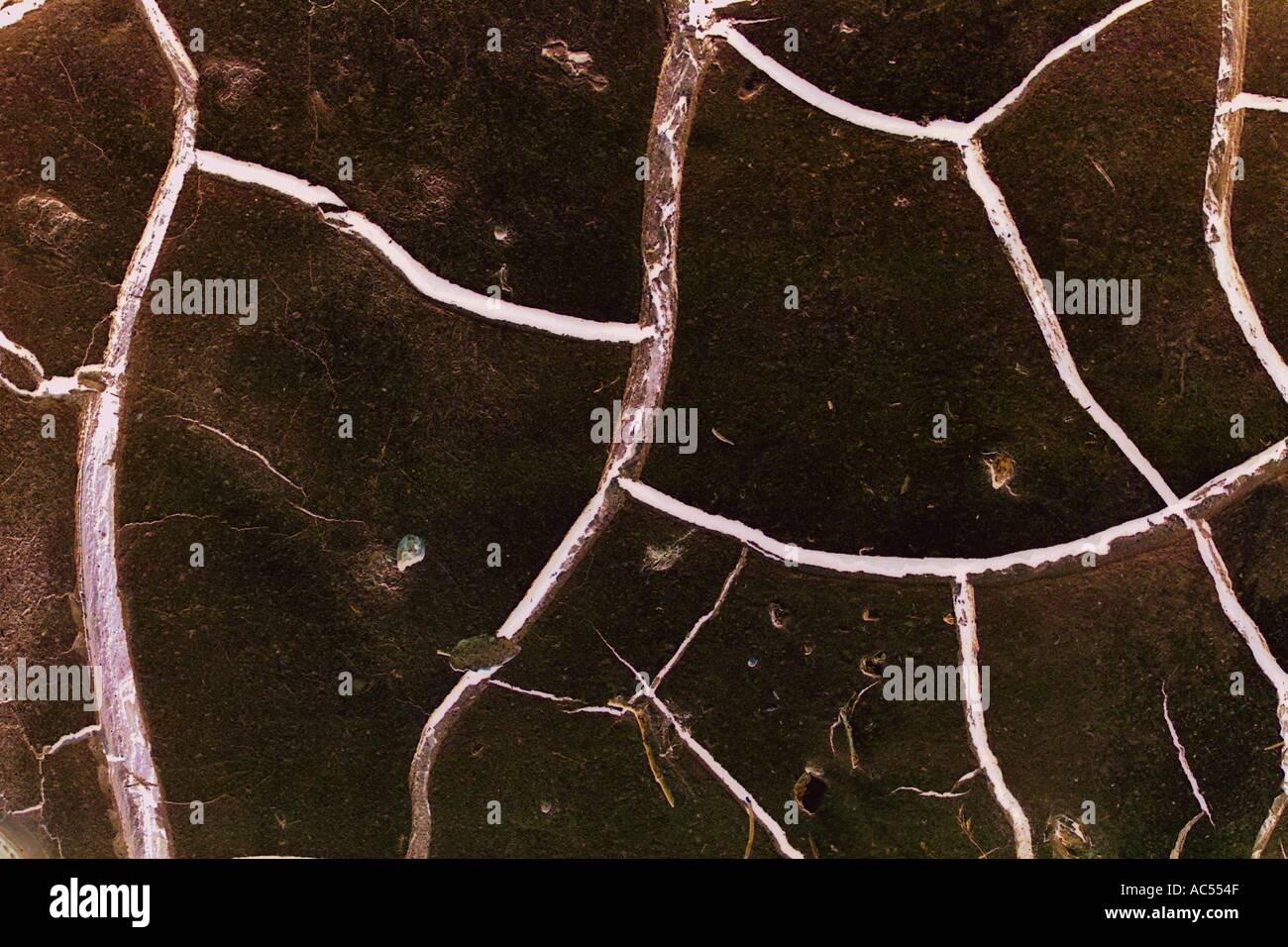 Backdrop cracked dry grey mud river bed river bed Scenery Scenery Stock ...