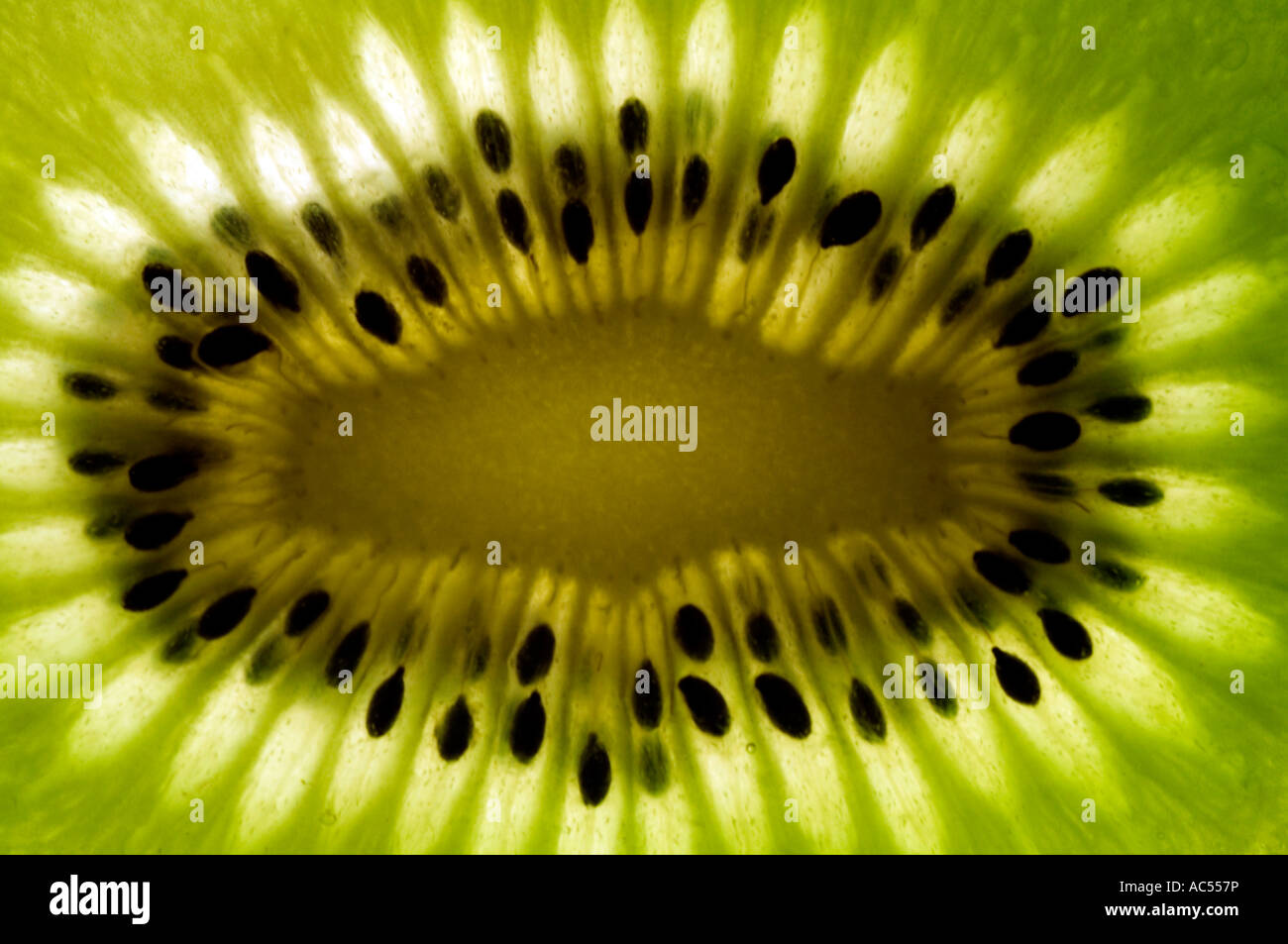 kiwi, fruit, fresh, food, fibre, diet, tasty, taste, pips, seeds, shape ...