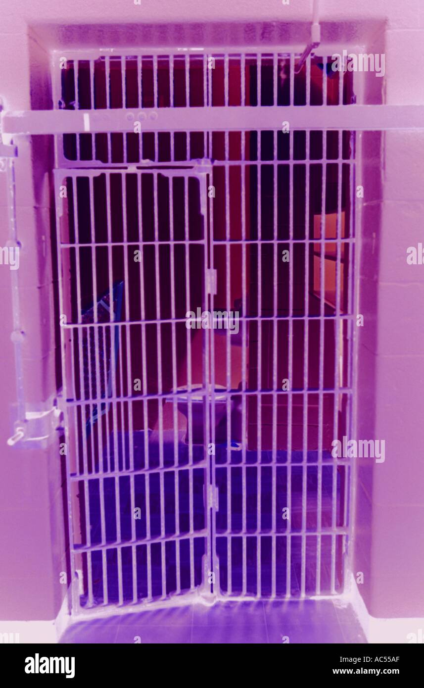 Backdrop courtyard door home house inside Scenery Scenery Stock Photo ...