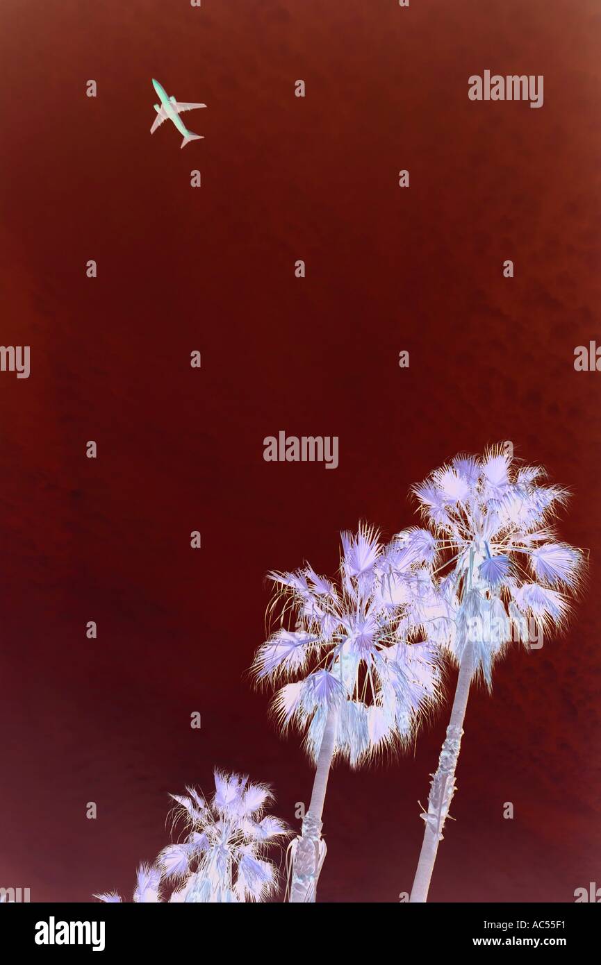 aircraft Backdrop outside Scenery Scenery sky tree travel Stock Photo ...