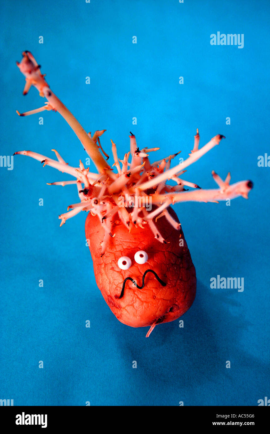 Sprouting potato head with funny face Stock Photo - Alamy