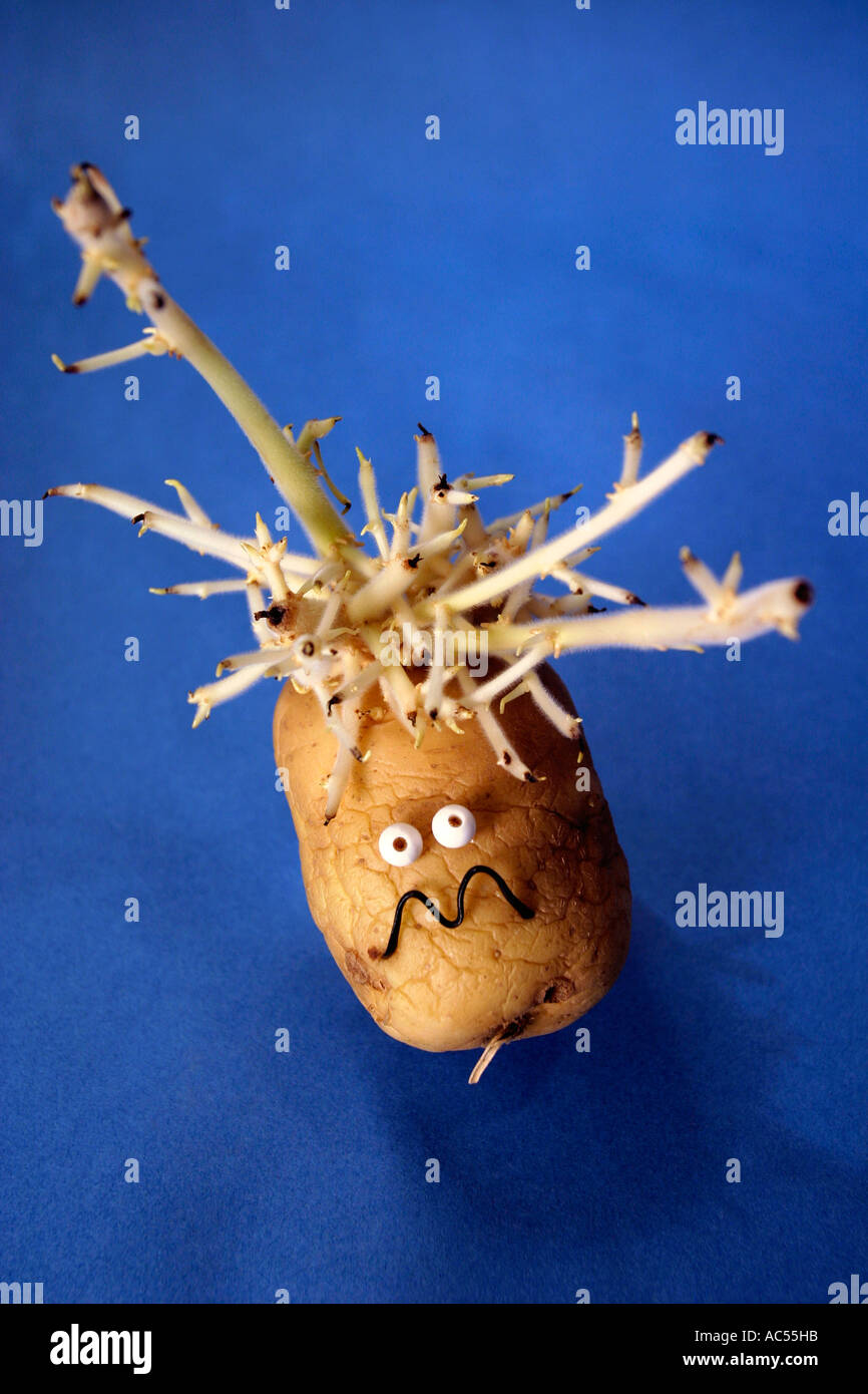 Sprouting potato head with funny face Stock Photo - Alamy