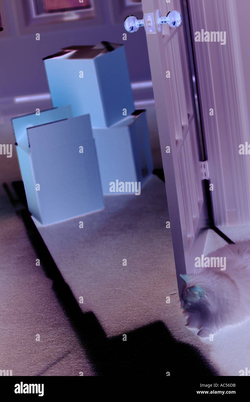 Cases boxes hi-res stock photography and images - Alamy