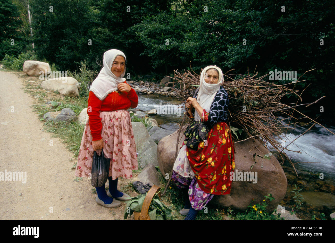 Woman carrying sticks forest hi-res stock photography and images - Alamy