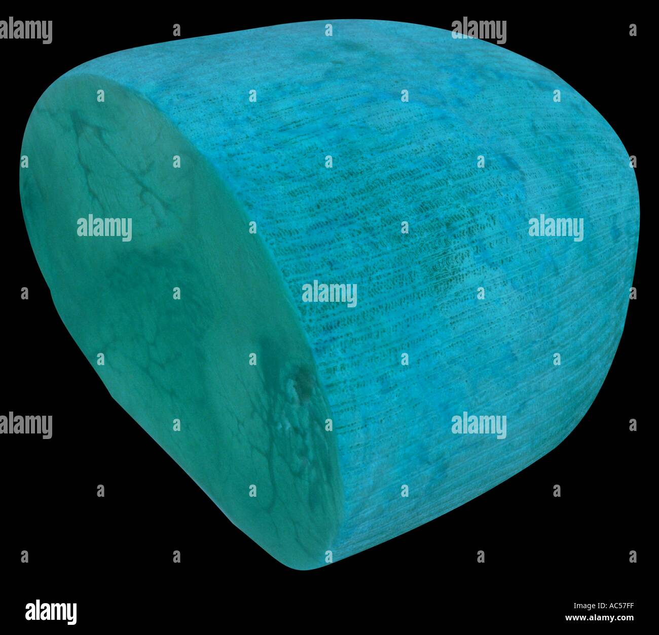 Food and Beverage Food Beverage joint of ham jpg joint of ham jpg ...