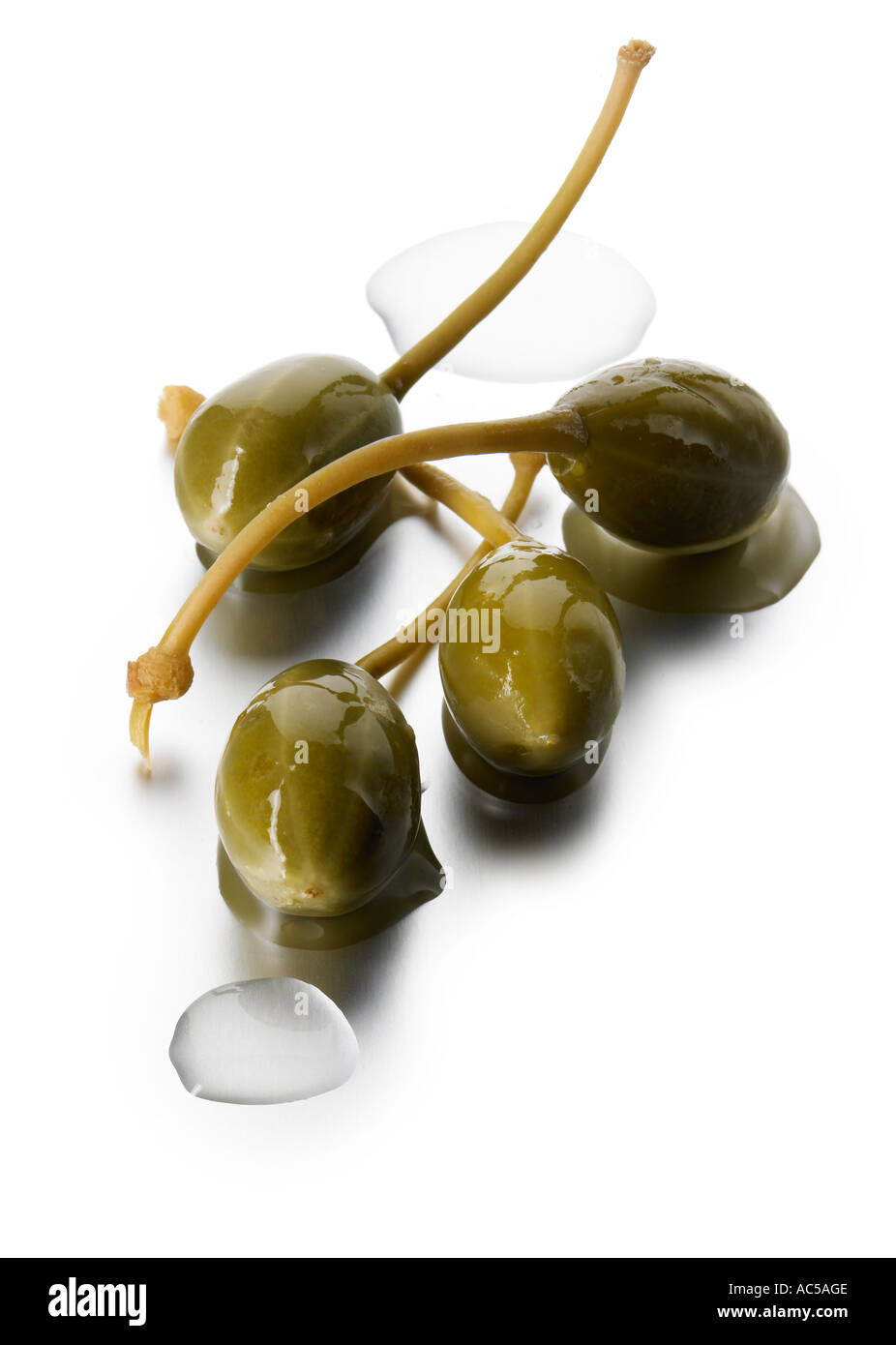 A stem stems Cut Out Stock Images & Pictures - Alamy