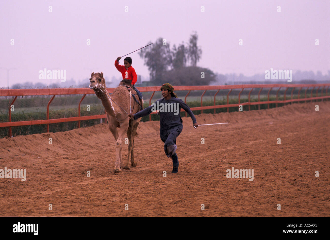 Camel racing 1990 hi-res stock photography and images - Alamy