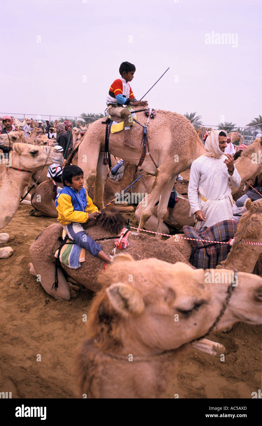 Camel racing 1990 hi-res stock photography and images - Alamy