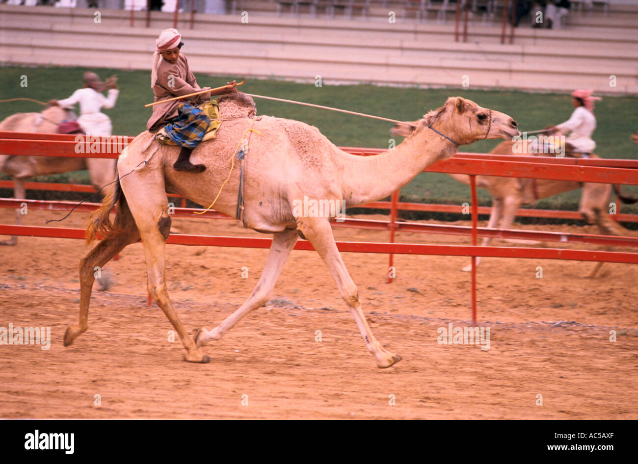 Camel track hi-res stock photography and images - Alamy