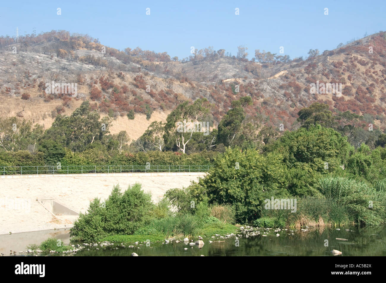 Los Angeles, Griffith Park burn area 1 Stock Photo - Alamy
