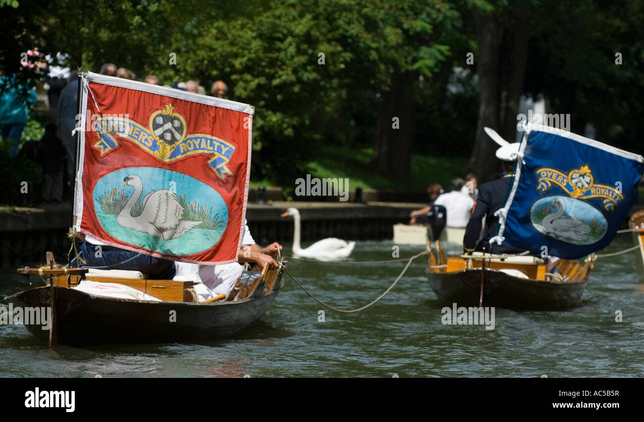 The flags of the Dyers and Vintners on traditional Thames rowing skiffs ...