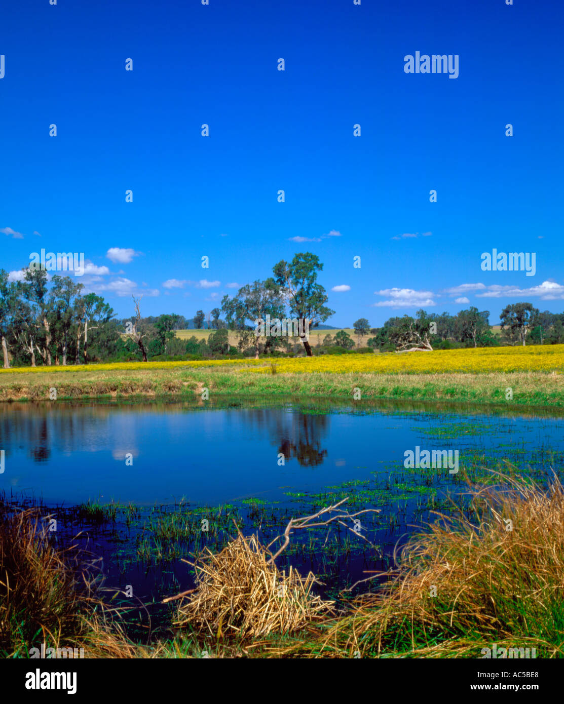 Gloucester Tops High Resolution Stock Photography and Images - Alamy