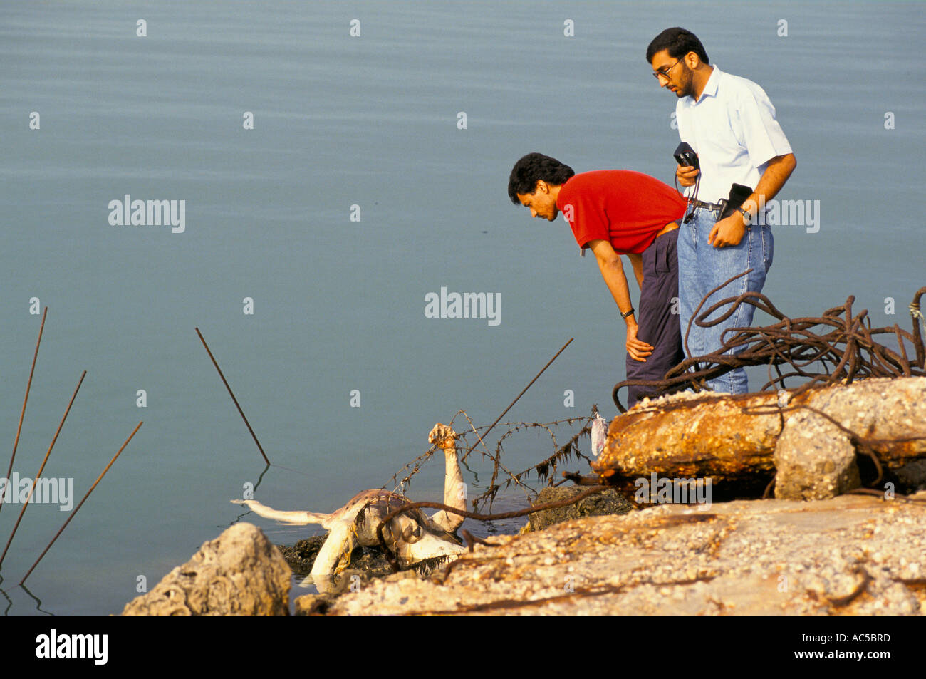 Drowned corpse hi-res stock photography and images - Alamy