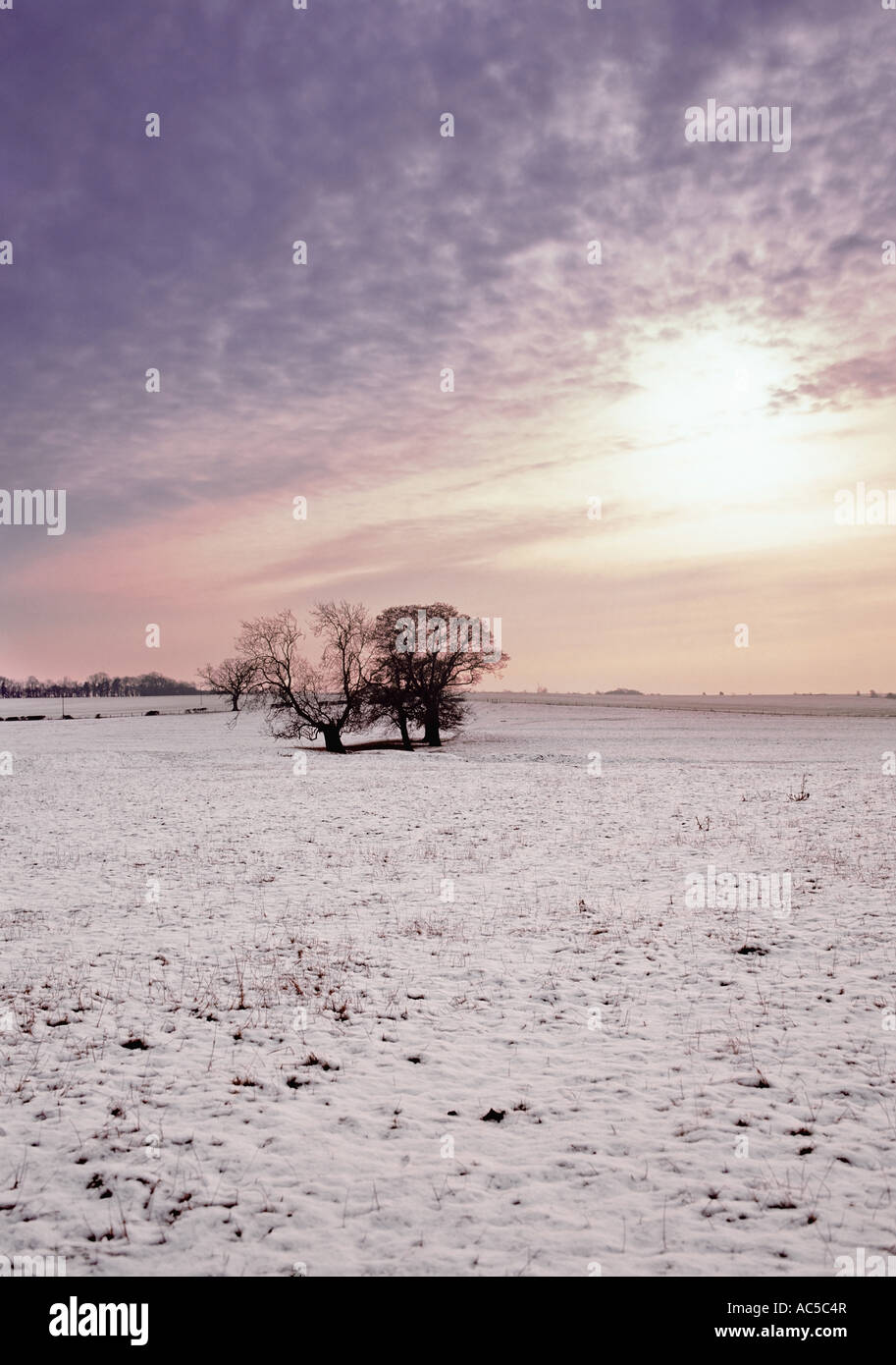 field in winter with dramatic sky Stock Photo - Alamy