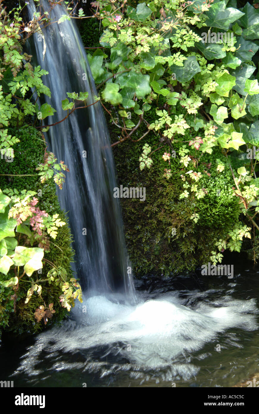 spring water falling down into trough Compton Abdale Cotswolds ...